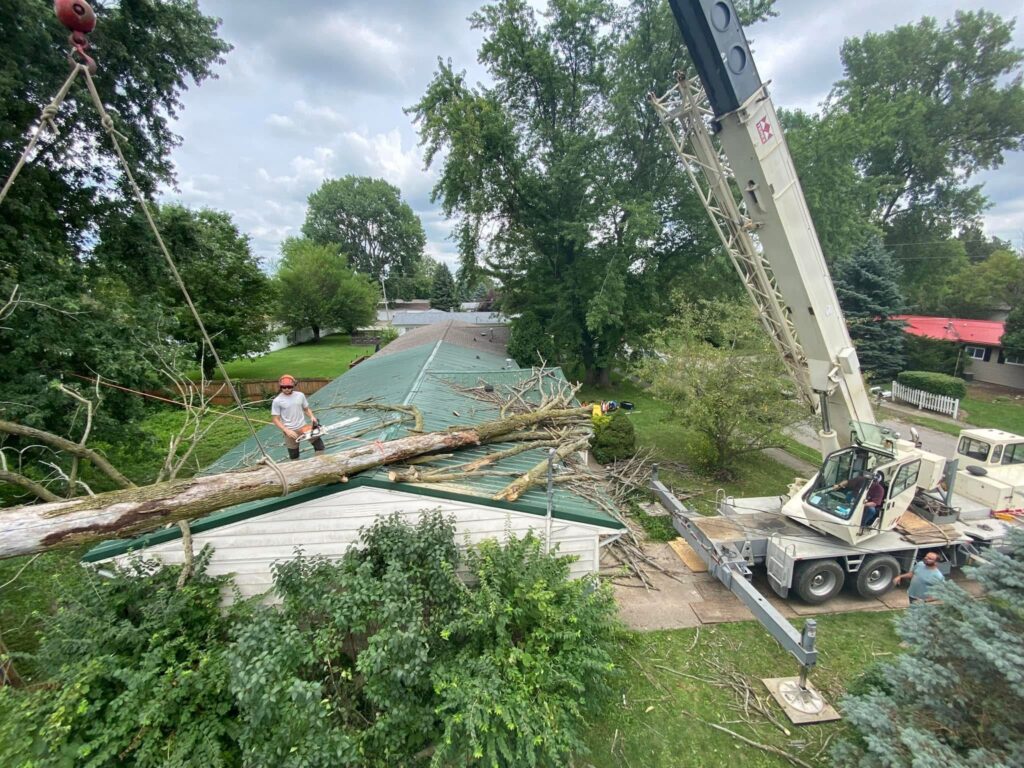 Tree Insurance Claims For Your Property | Heartland Tree Service